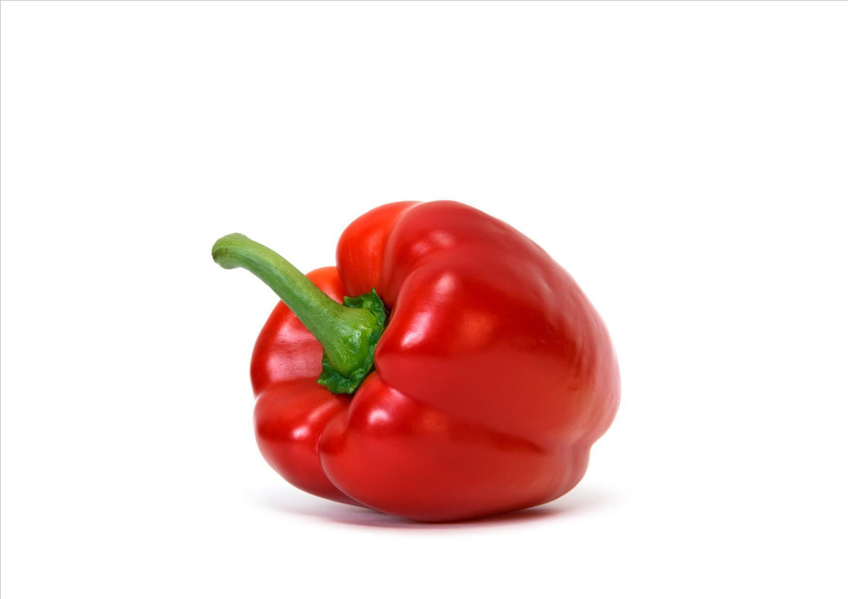 Pepper Red Large – Osolocal2U